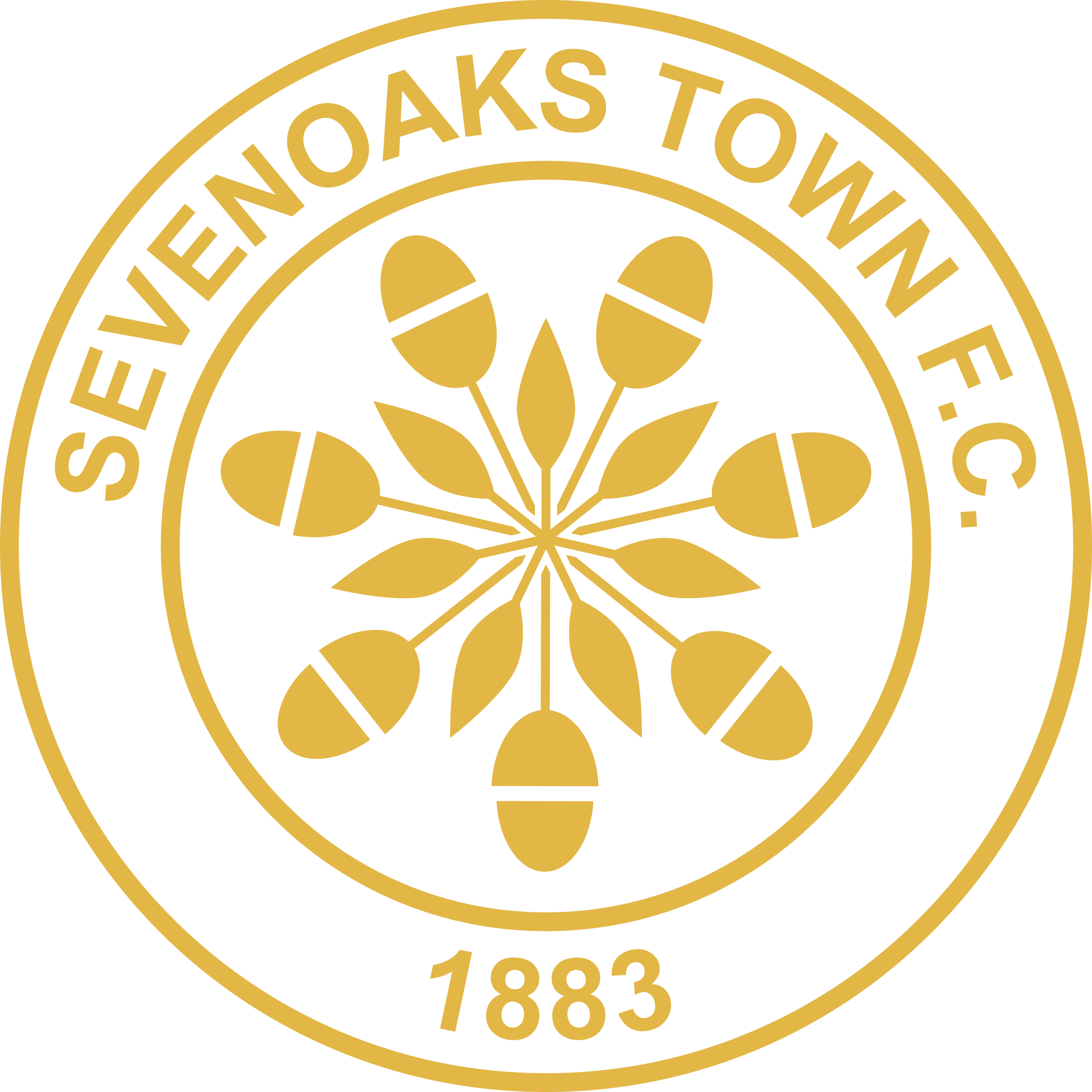 STFC_Logo | Local Sports News